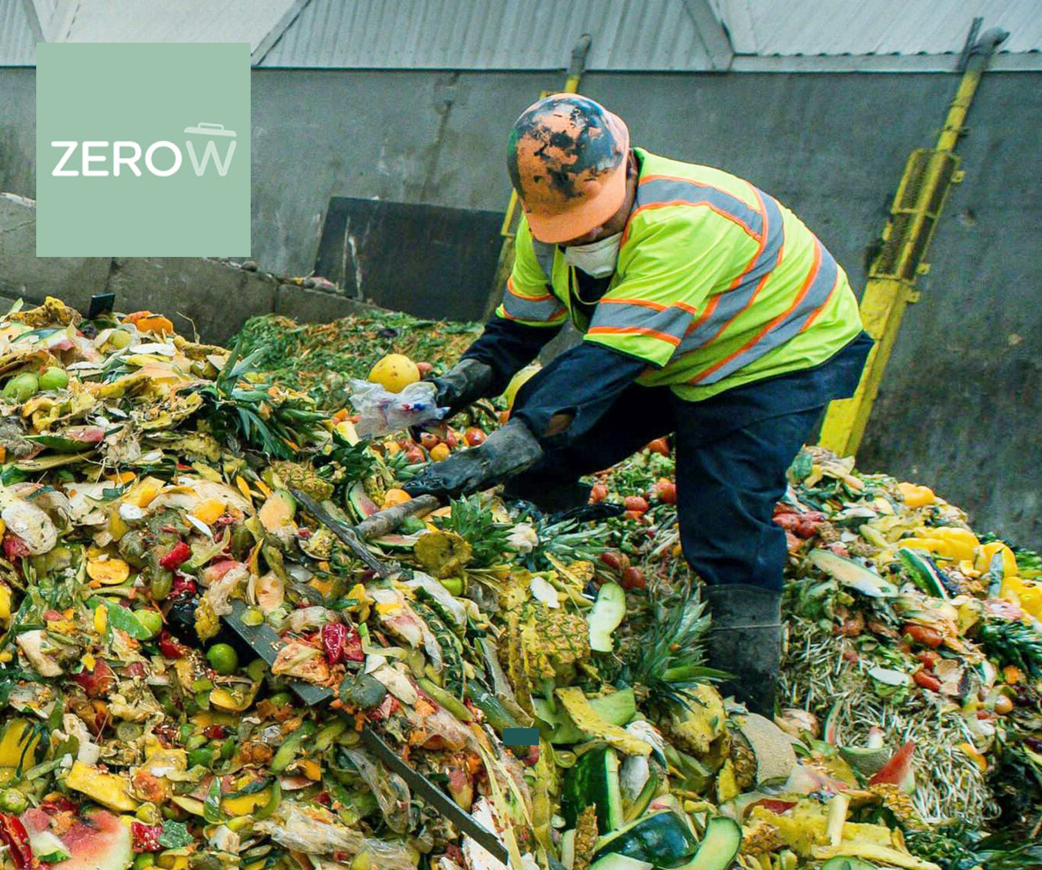 Dissemination: insights from our ZeroW project in five policy briefs | SAFE – Safe Food Advocacy ...